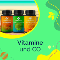 CibusPlus – Cibusplus